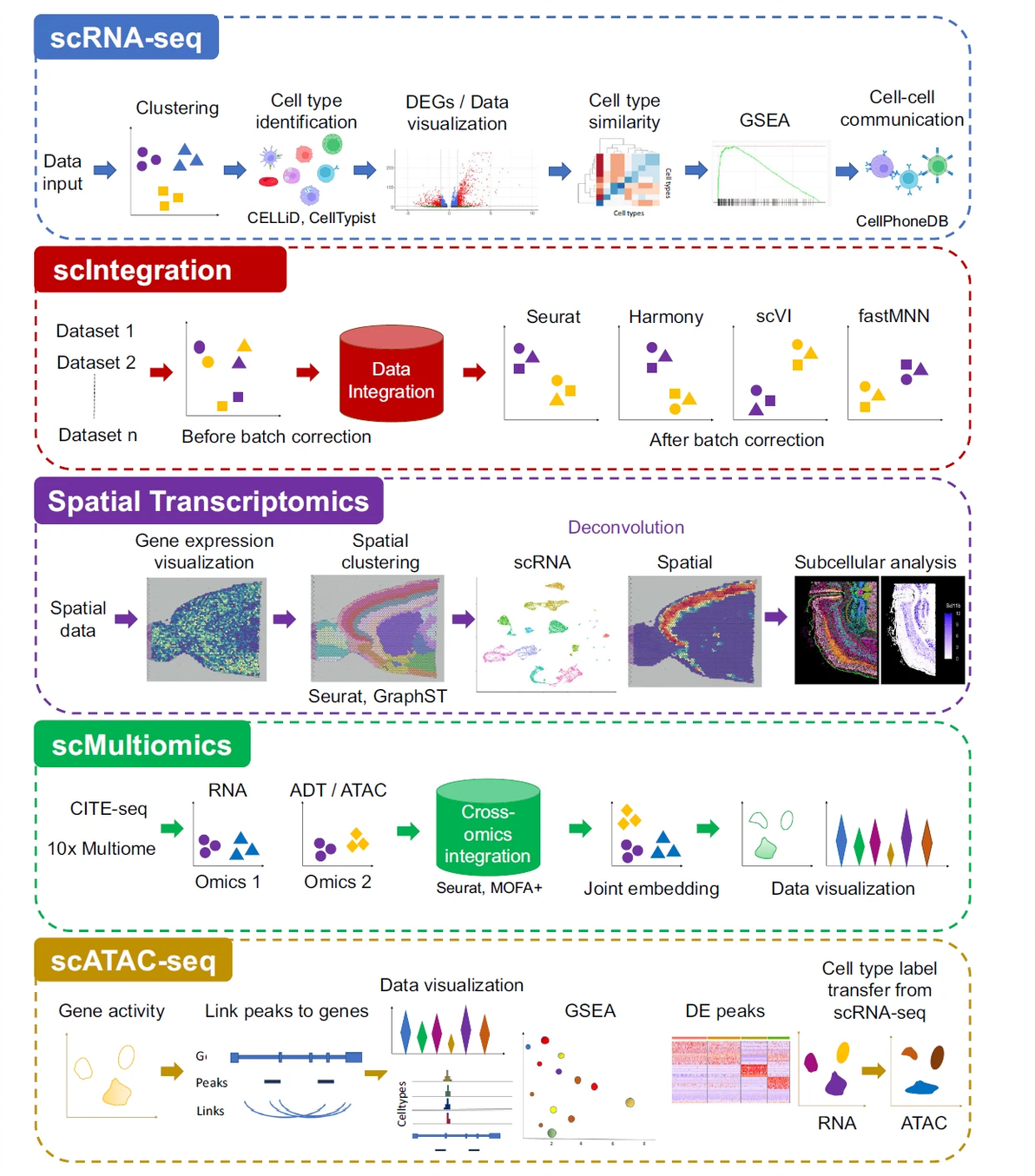 ezSingleCell || 零代码单细胞数据分析平台介绍 - 哔哩哔哩