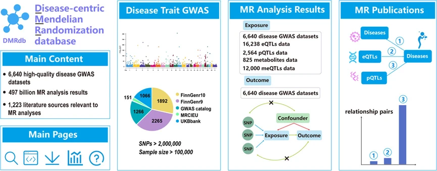 MR数据库：DMRdb，专治不会MR的你！傻瓜式操作，分析不求人 - 哔哩哔哩