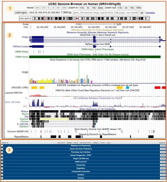 常用网站介绍|基因宝库之UCSC篇（一） - 哔哩哔哩