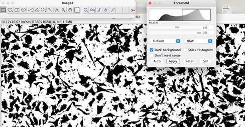 ImageJ软件统计Transwell小室细胞迁移数量（附ImageJ安装包） - 哔哩哔哩