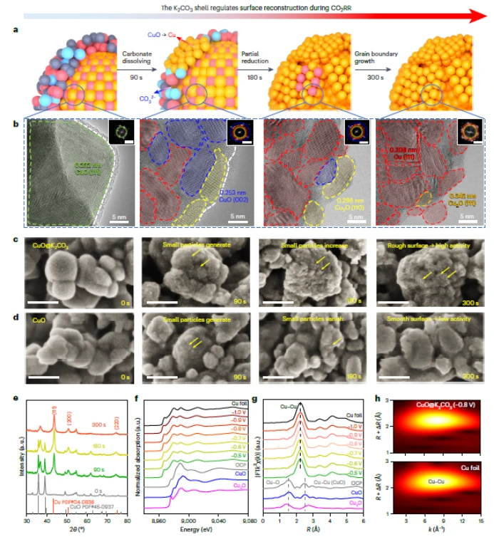 【文献解读】Nature子刊：碳酸盐壳层调控CuO表面重构以增强CO2RR - 哔哩哔哩
