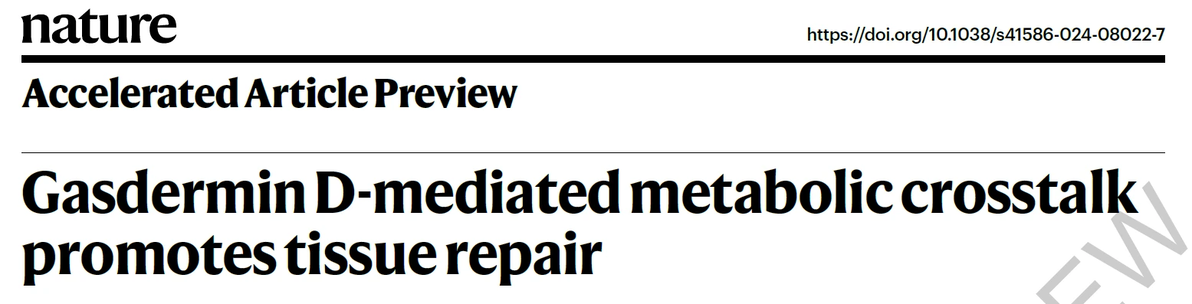 Nature | 浙江大学团队揭示巨噬细胞通过GSDMD释放代谢物促进衰老组织再生新机制 - 哔哩哔哩