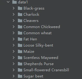 EfficientVMamba实战：使用EfficientVMamba实现图像分类任务（一） - 哔哩哔哩
