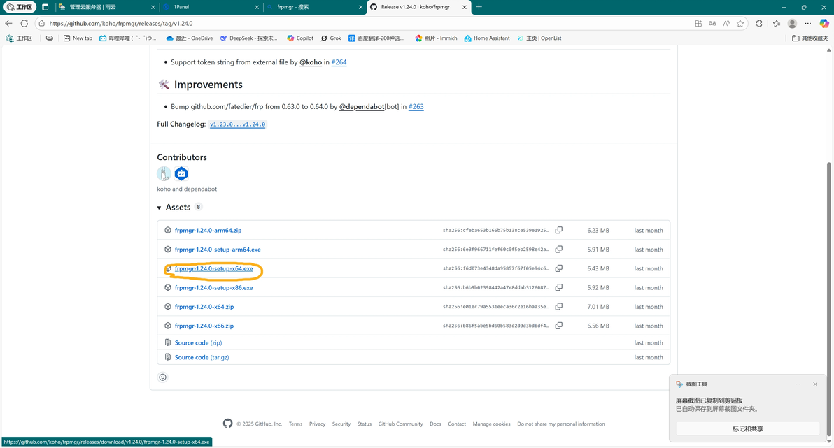 Frps安装教程（使用1Panel应用功能安装，并使用frpmgr管理面板连接） - 哔哩哔哩