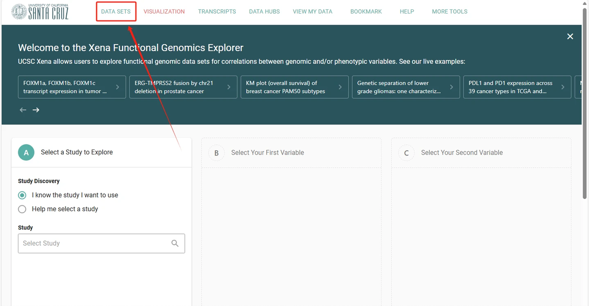 TCGA数据库（利用UCSC xena）+TBtools软件绘制热图 - 哔哩哔哩