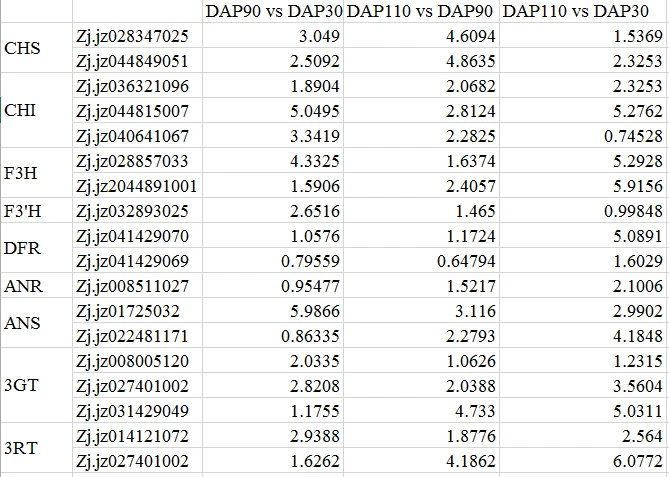 分享一个PPT+Excel绘制KEGG通路热图的方法 - 哔哩哔哩