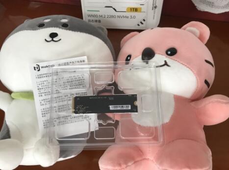 WalkDisk WN10 1T开箱评测 - 哔哩哔哩