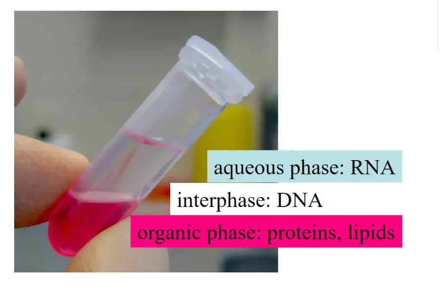 Trizol法提取RNA：从样本前处理到操作步骤 - 哔哩哔哩