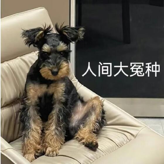 尤菲黎娅_Eupheria的动态 - 哔哩哔哩
