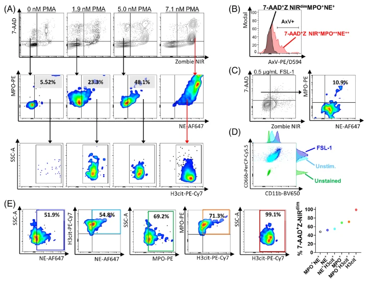 中性粒细胞胞外陷阱（NETs）的流式检测方案 - 哔哩哔哩