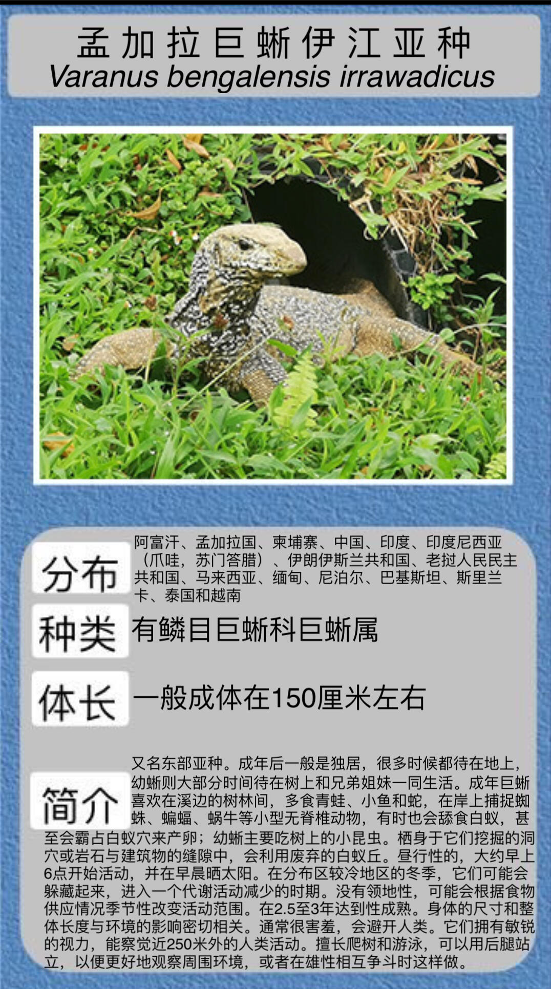 爬行类快餐式科普第五弹 - 哔哩哔哩