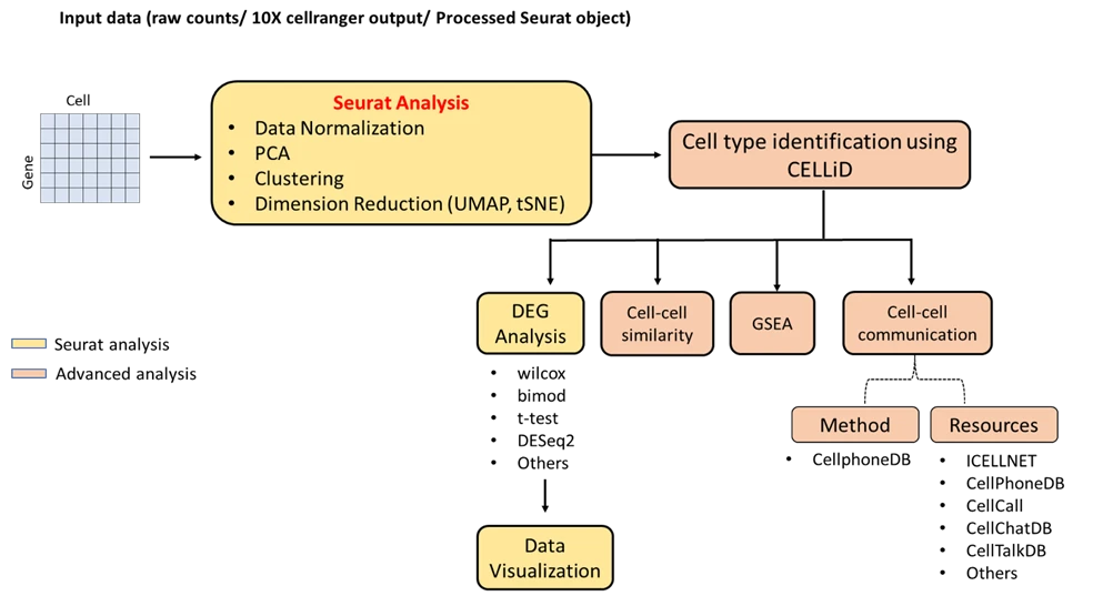 ezSingleCell || 零代码单细胞数据分析平台介绍 - 哔哩哔哩