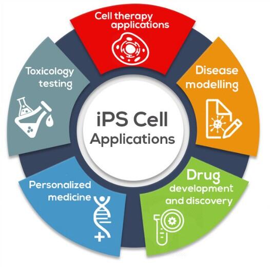 想了解iPSC全流程解决方案？来看这篇！ - 哔哩哔哩
