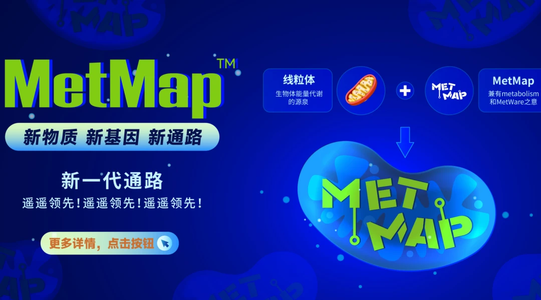 三篇文章认证！MetMap™如何成为代谢组研究的神器？ - 哔哩哔哩