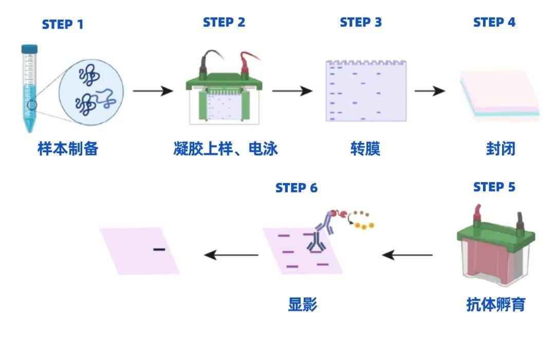 WB最全操作详解+64个问题分析，看完少走90%弯路！ - 哔哩哔哩
