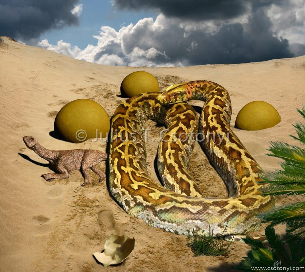 蛇年话古蛇——母牛谷蛇（Madtsoia） - 哔哩哔哩