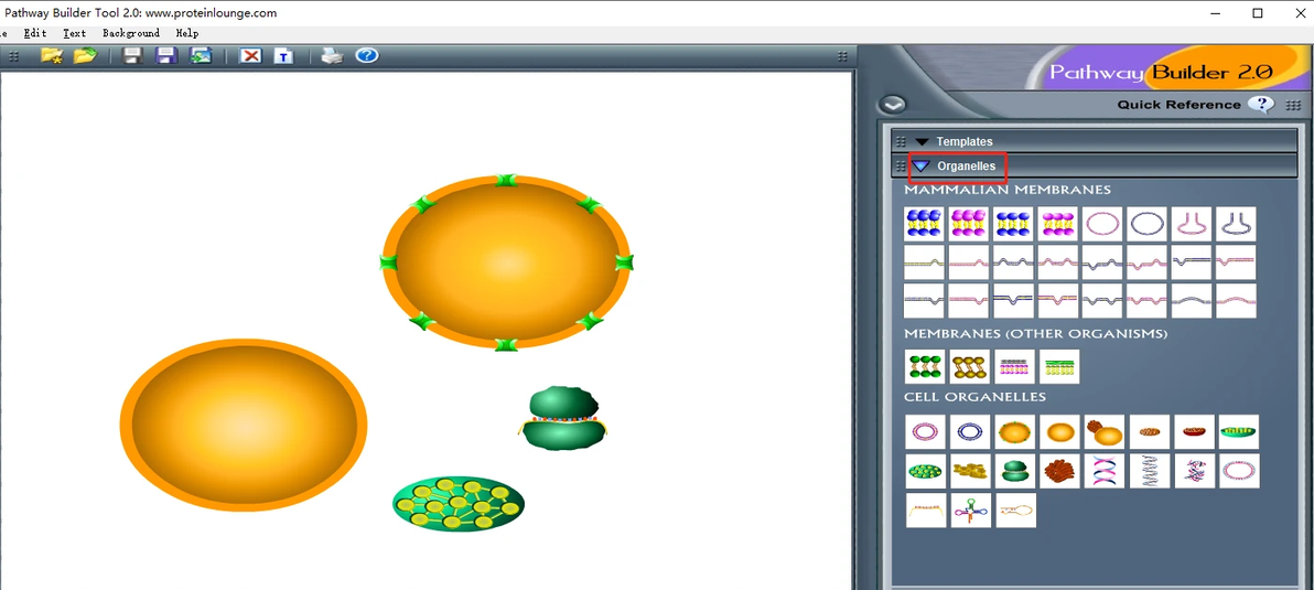 Pathway Builder Tool，分分钟搞定高大上的细胞信号通路图！ - 哔哩哔哩