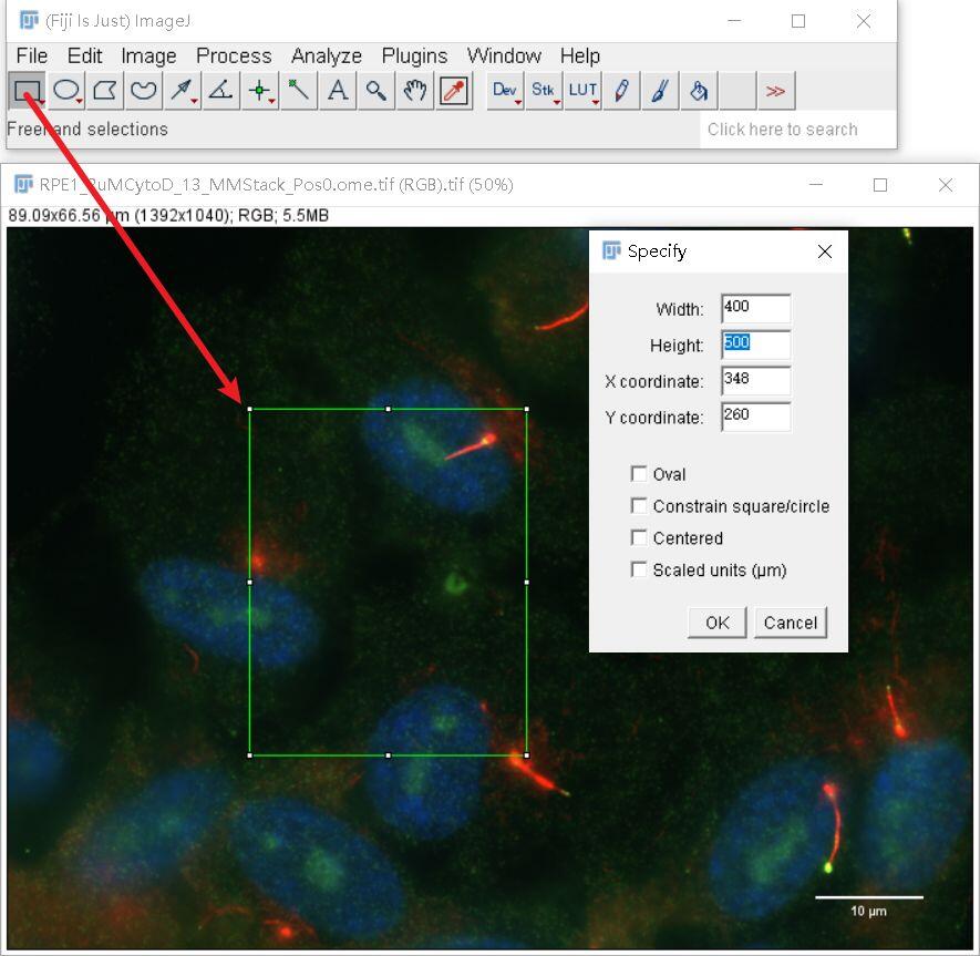 ImageJ处理图片技巧：图片信息，截取图片，修改分辨率 - 哔哩哔哩