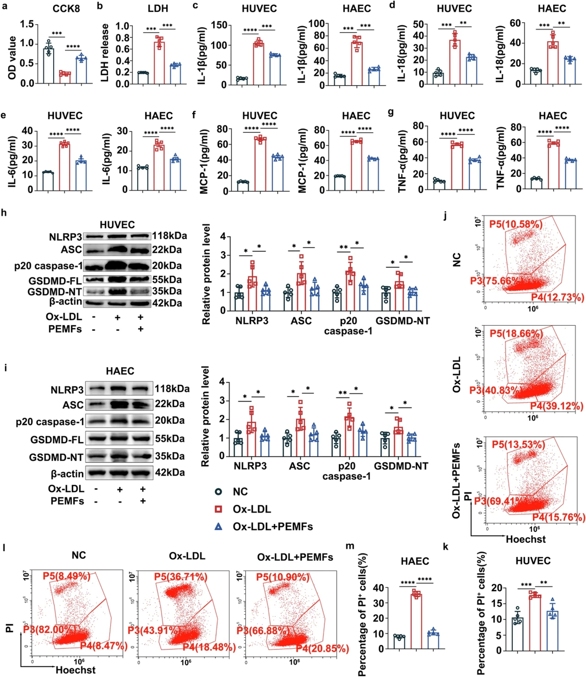 STTT 华西医院团队揭示脉冲电磁场调节膜张力抑制细胞焦亡和动脉粥样硬化斑块形成 - 哔哩哔哩