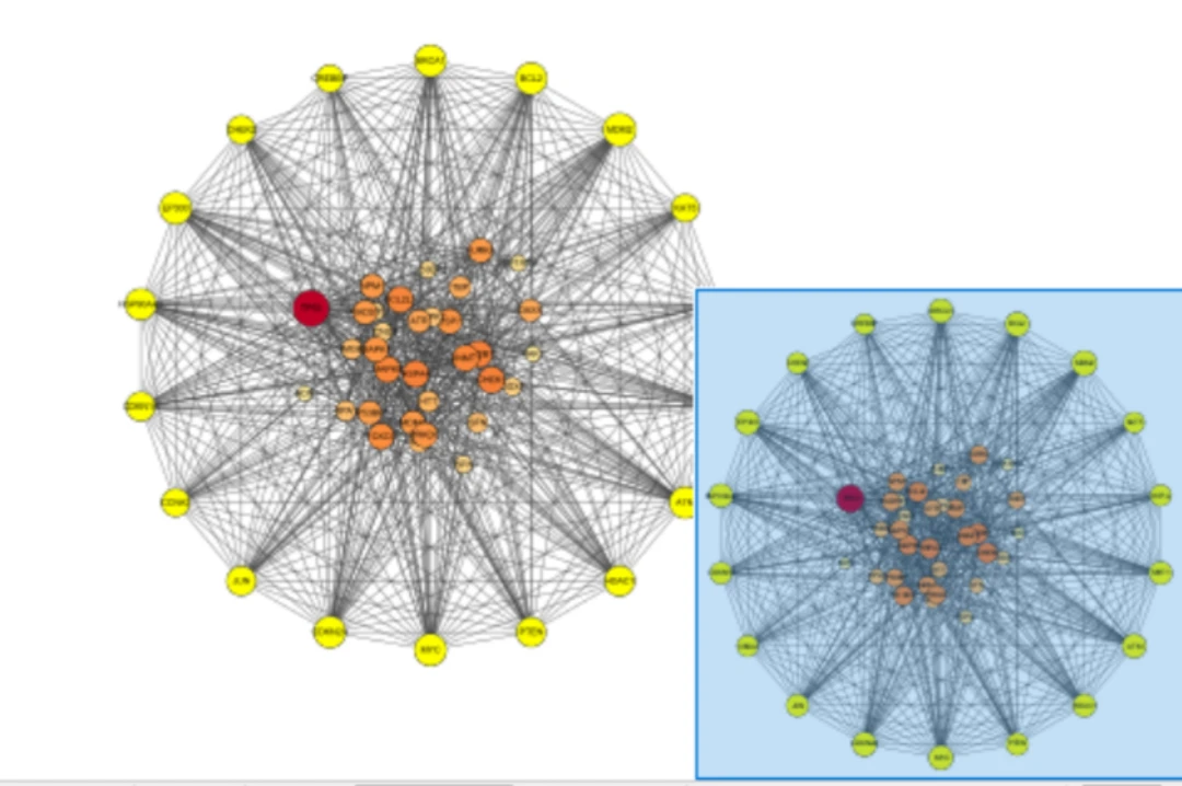 手把手教学｜String数据库与Cytoscape软件联合应用 - 哔哩哔哩