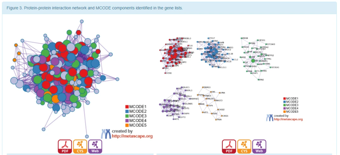 富集分析也可以像网络图一样，metascape数据库的使用 - 哔哩哔哩
