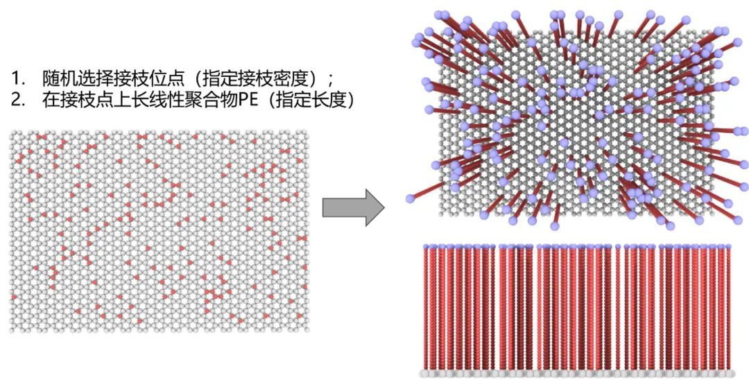【特训营】LAMMPS+VMD+Python联手，搞定聚合物交联+石墨稀表面接枝，9月3日晚发车！ - 哔哩哔哩