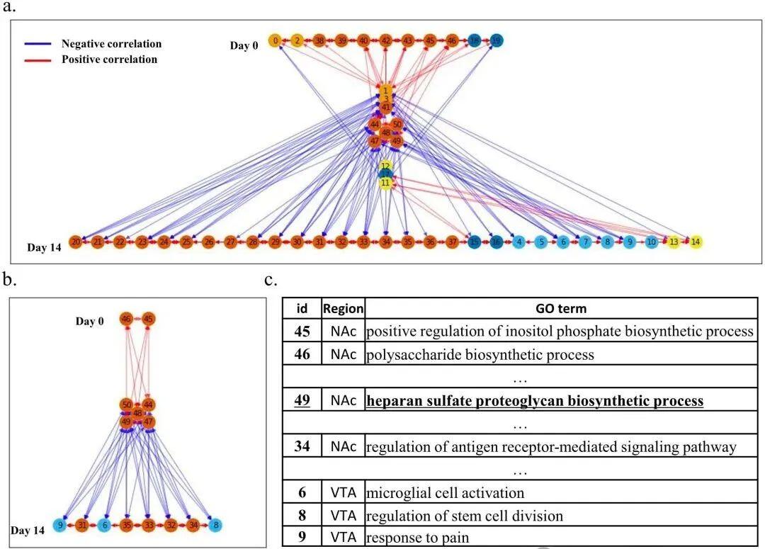 时序共表达网络算法除了WGCNA，还有更多的选择 - 哔哩哔哩