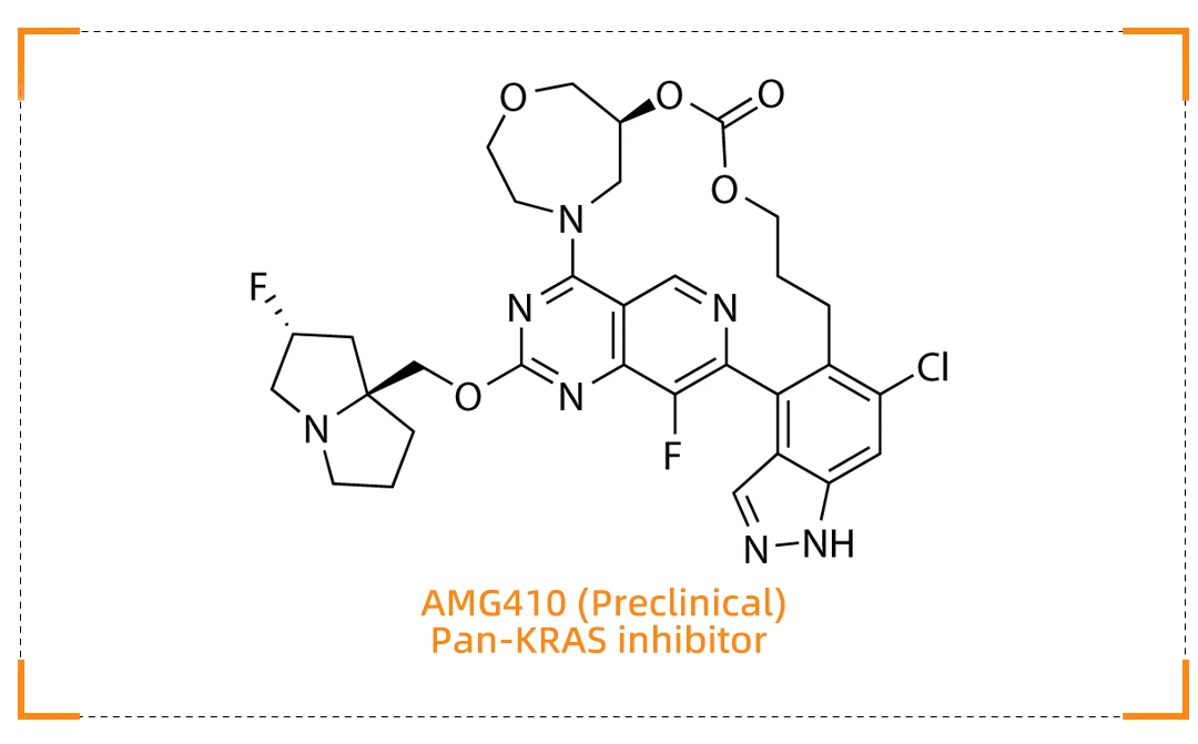 2025 AACR 大会：明星分子与关键分子砌块揭秘 | 乐研试剂 - 哔哩哔哩