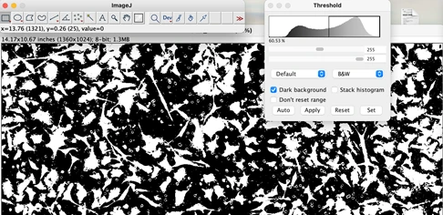 ImageJ软件统计Transwell小室细胞迁移数量（附ImageJ安装包） - 哔哩哔哩