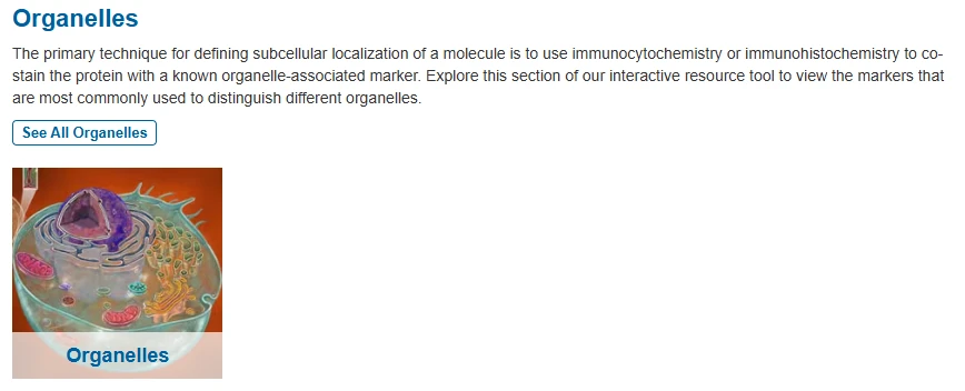 如何快速找到某个细胞最具代表性的marker（标志物）？ - 哔哩哔哩
