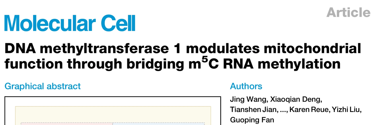 易基因：RNA m5C甲基化修饰研究怎么做？4篇10+分顶刊文献解读 - 哔哩哔哩