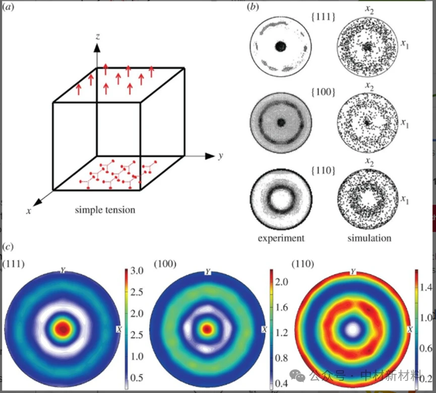 EBSD分析入门：极图与反极图，一文看懂材料晶粒取向密码 - 哔哩哔哩