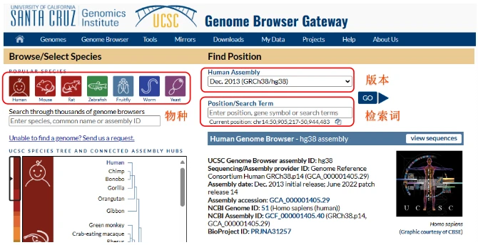 常用网站介绍|基因宝库之UCSC篇（一） - 哔哩哔哩