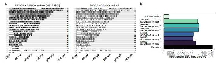 Nature|AAV介导的 “睡美人”转座子和 mRNA 编码转座酶的传递，用于治疗性免疫细胞工 - 哔哩哔哩