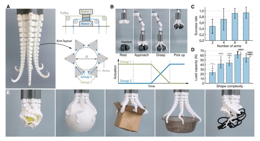 SpiRobs：适用于多尺度通用抓取的对数螺旋形机器人 - 哔哩哔哩