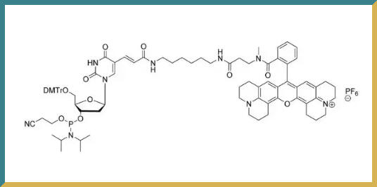 CAL Fluor Red 610 dT Amidite荧光标记与猝灭的原理 - 哔哩哔哩