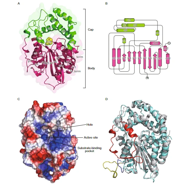 助力Lysophosphatidic Acid (LPA)，突破脂质信号通路瓶颈 - 哔哩哔哩