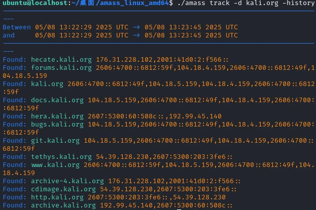amass：深入攻击面映射和资产发现工具！全参数详细教程！Kali Linux教程！ - 哔哩哔哩