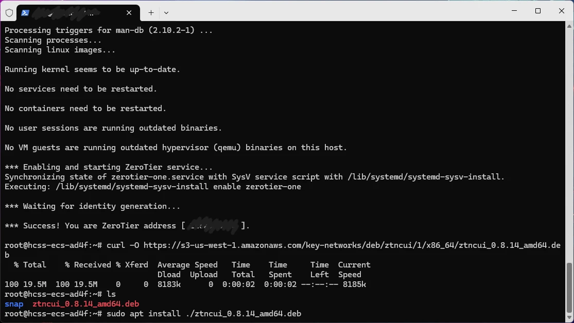 浅谈如何搭建一个完全私有化的ZeroTier - 哔哩哔哩