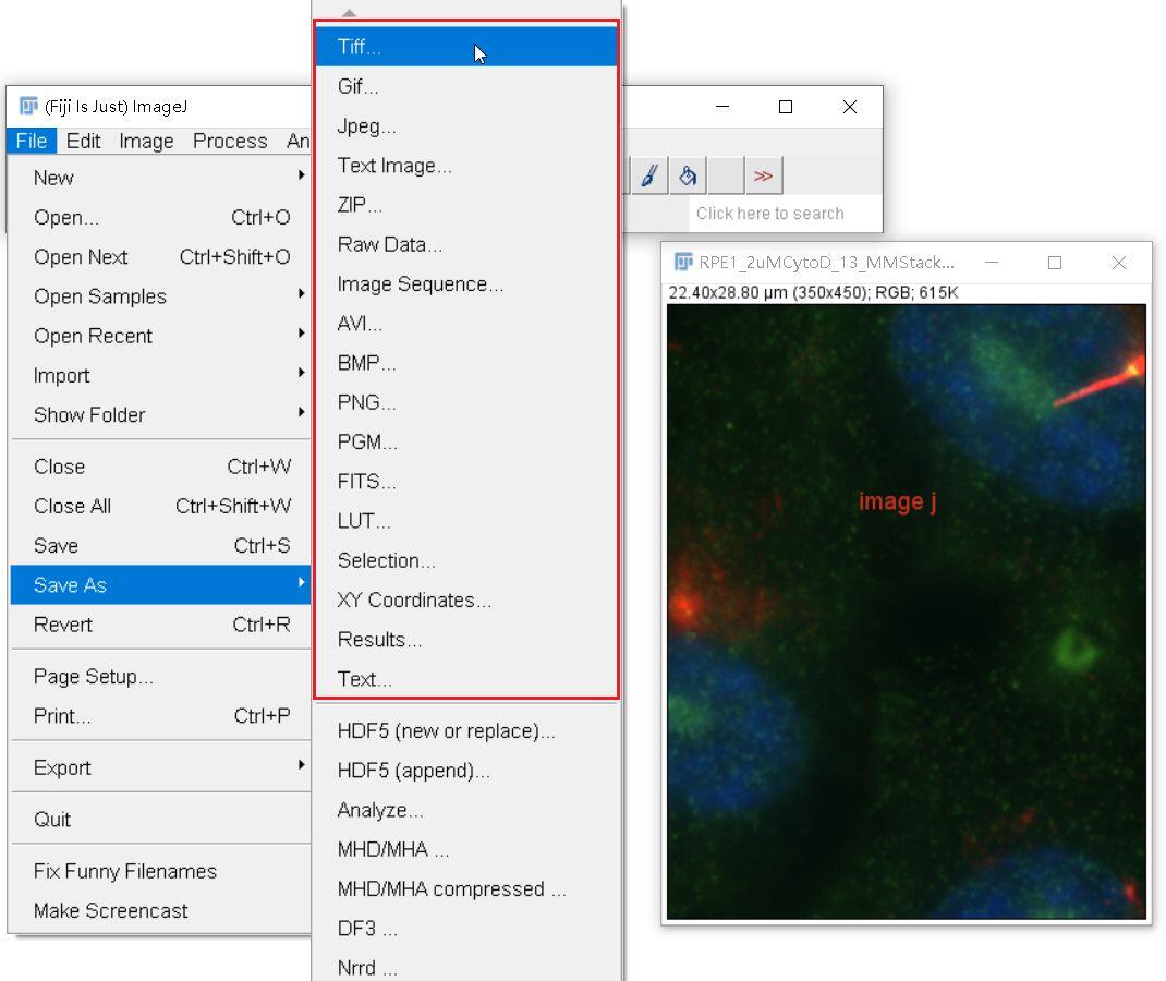 ImageJ处理图片技巧：图片信息，截取图片，修改分辨率 - 哔哩哔哩