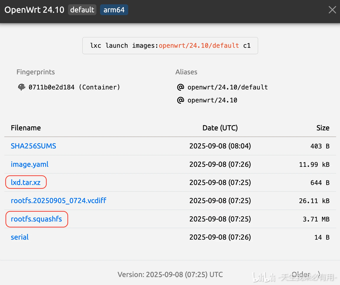 Oect安装Armbian，LXC模式部署原版Openwrt - 哔哩哔哩