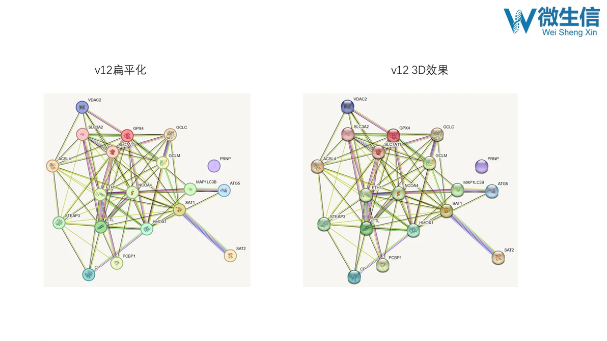 生信入门第十二课Cytoscape绘PPI网络图并用cytohubba识别hub - 哔哩哔哩