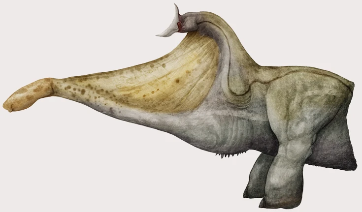 斯奈亚德/Snaiad 全文中译 4-6 脊椎动物-泰坦类 - 哔哩哔哩