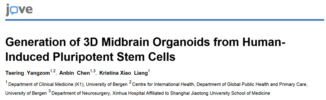 JoVE Protocols | 手把手教你如何通过iPSC构建中脑类器官 - 哔哩哔哩