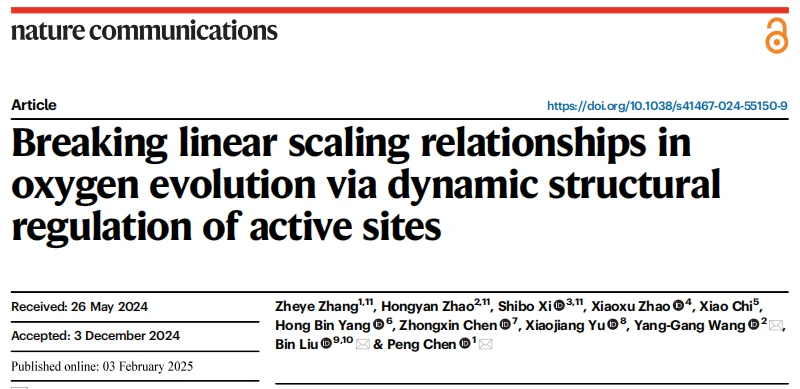 动态双位点协同机制打破线性标度关系 - 哔哩哔哩