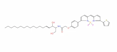 BODIPY TR-Ceramide；571186-05-5一种高尔基体特异性荧光染料 - 哔哩哔哩