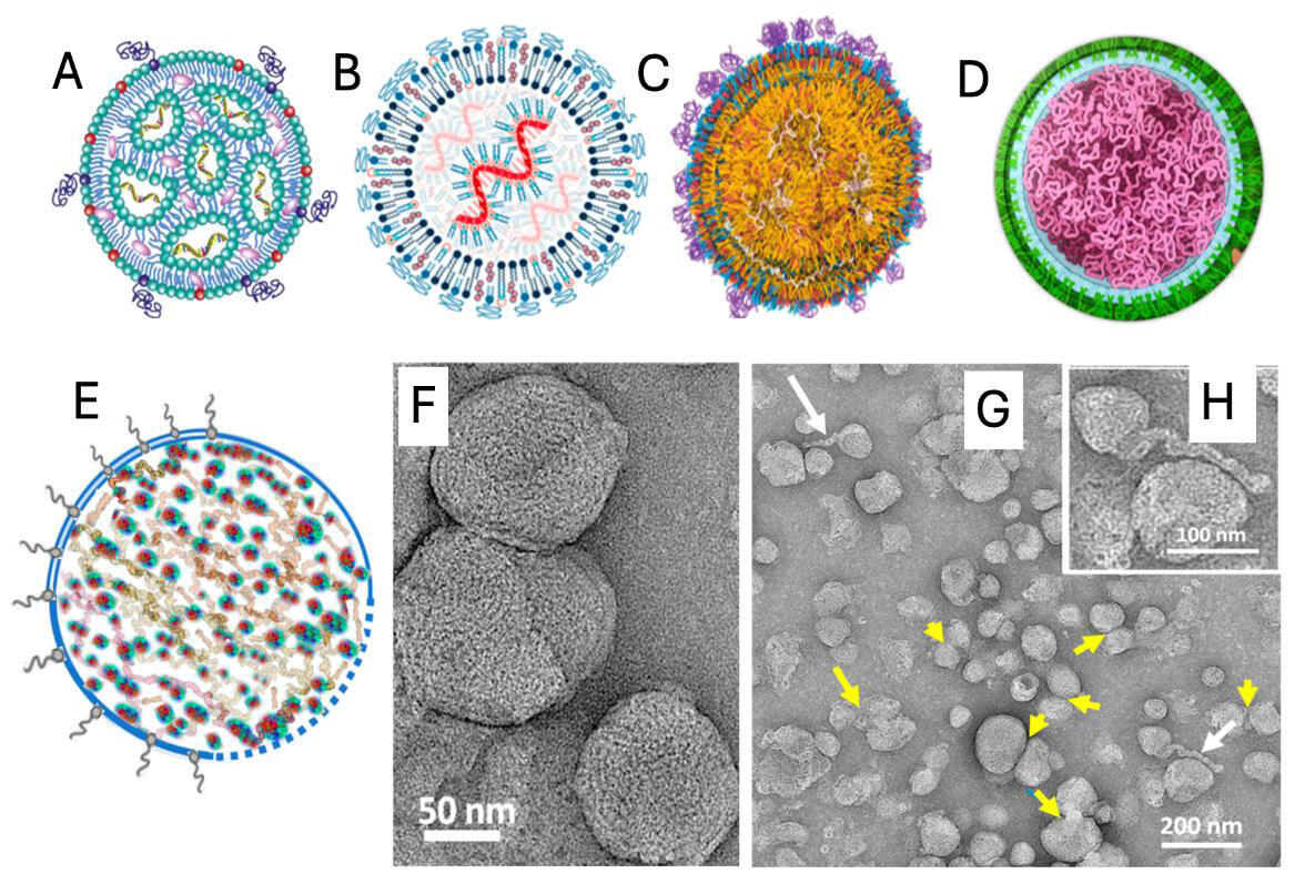 mRNA-LNP配方优化新突破：中新康明推动ALC-0315/SM-102商业化 - 哔哩哔哩