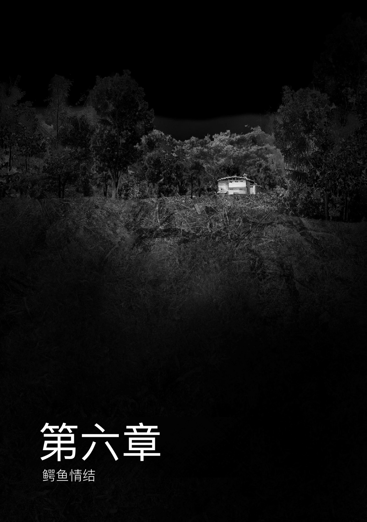 《Crocodile Complex/鳄鱼情结》第二卷汉化完整版 - 哔哩哔哩
