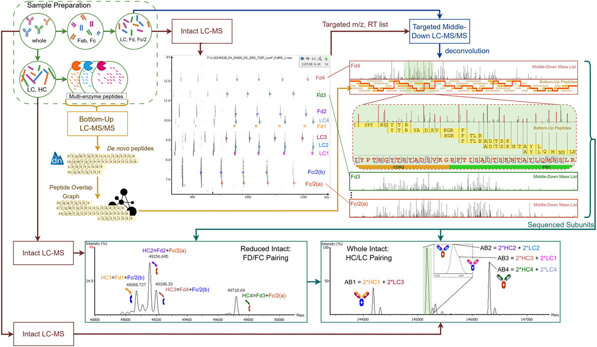 首个多克隆抗体从头测序软件！PolySeq.AI利用3种质谱技术实现99%+准确 - 哔哩哔哩