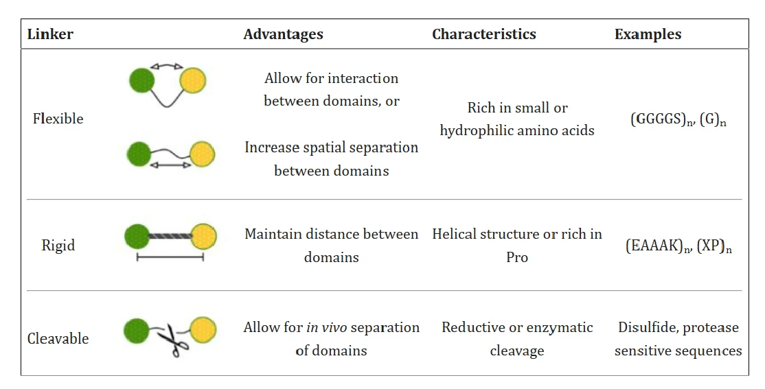 科研干货分享：融合蛋白Linker介绍与设计 - 哔哩哔哩